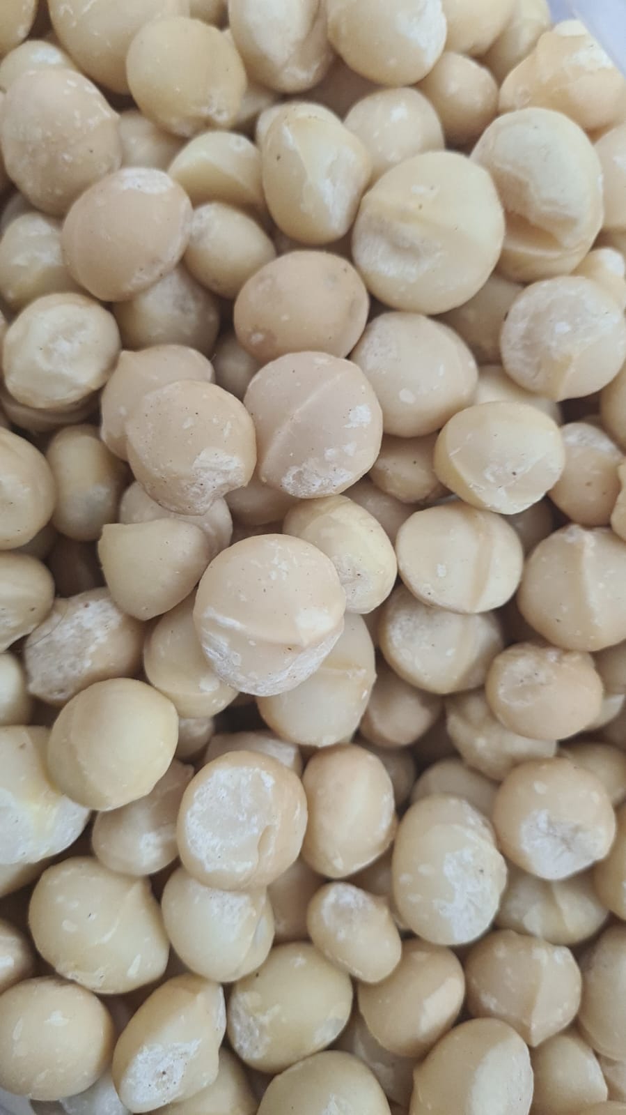 Fresh Macadamia Nuts